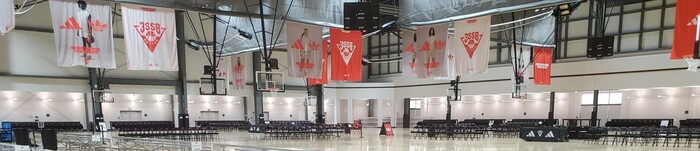 Parks, Recreation & Tourism - adidas 3SSB Basketball