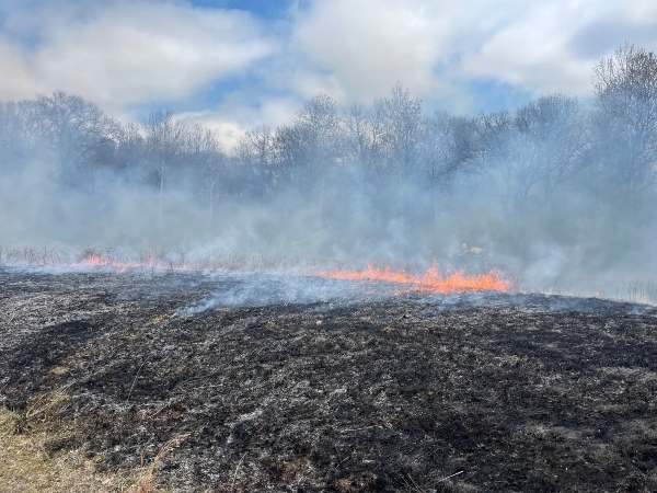 Spring 2022 Seasons in the Park