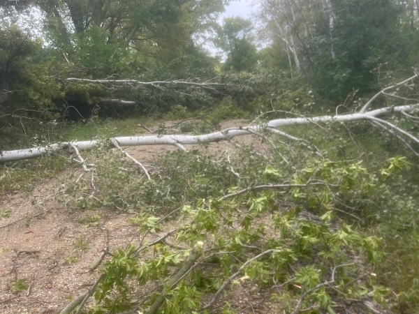Storm damage
