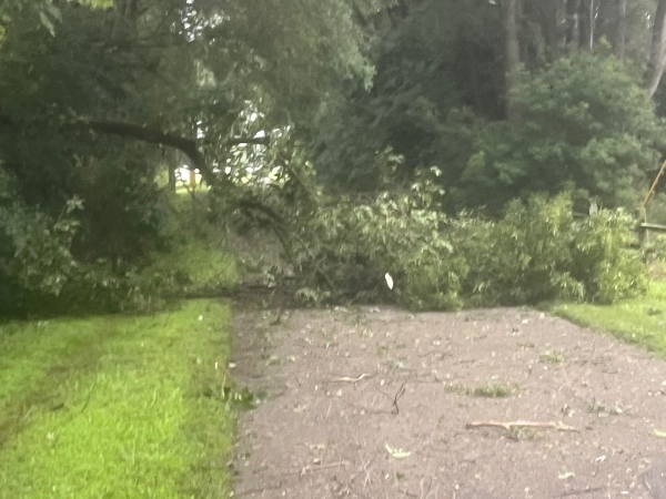 Storm damage