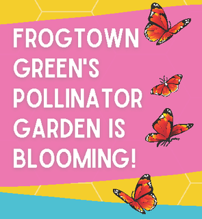 What's Happening at Saint Paul Parks and Recreation