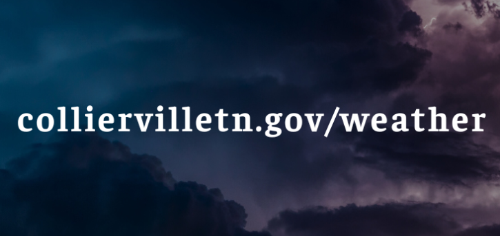 Collierville News, 3/31/2025