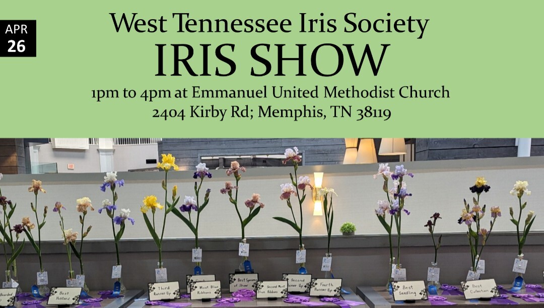 Iris Show for West Tennessee Iris Society