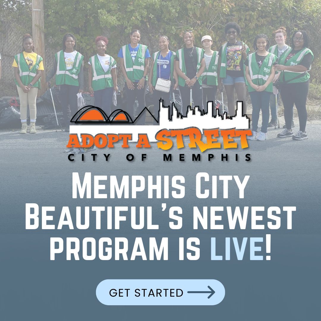 It's Time! Adopt Your Street Now