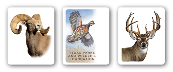 Pick Your Favorite Plate!