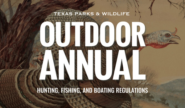 New Season, New Regulations