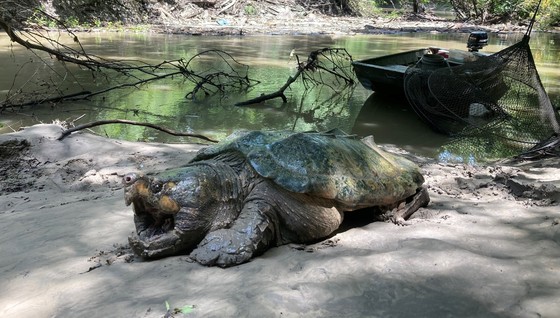REMINDER TO REGISTER - Wildlife Diversity Webinar Series - Distribution ...