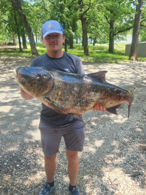 Invasive carp found in waterbodies near you – what to do