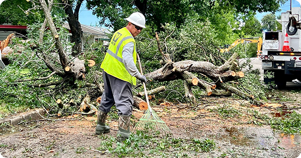 Penguins Coming Soon to Waco - City Limits eNews 6.10.24