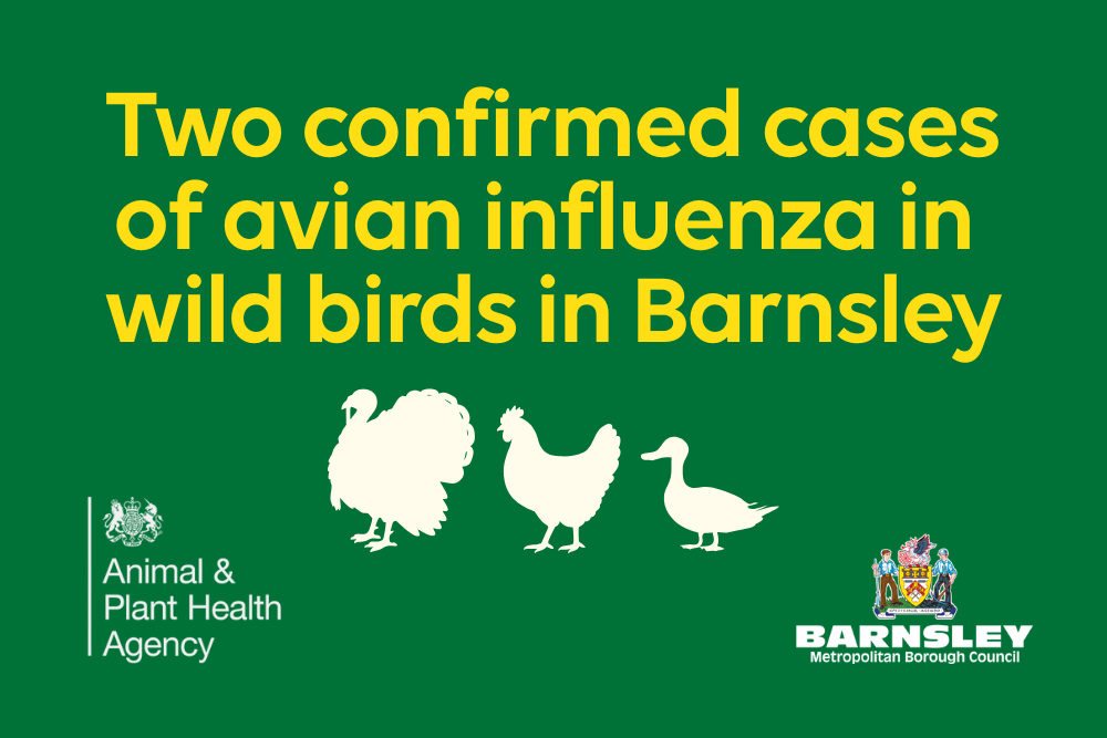 Our Barnsley newsletter