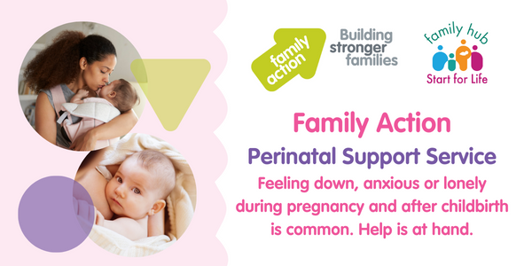 Family Hubs and Start for Life - November 2023 newsletter