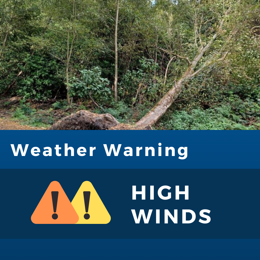 Storm Éowyn - Amber Weather Warning issued