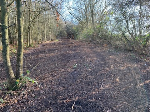 Message from the CEO Jonathan Stephenson