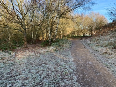 Message from the CEO Jonathan Stephenson