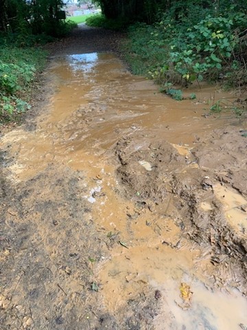 Message from the CEO Jonathan Stephenson