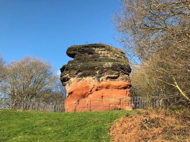 What's happening in our parks and open spaces - March 2022