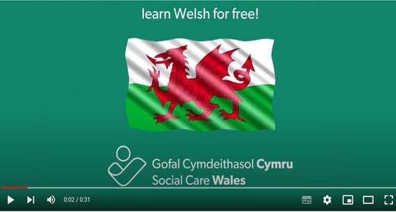 Workforce Development Training Offers