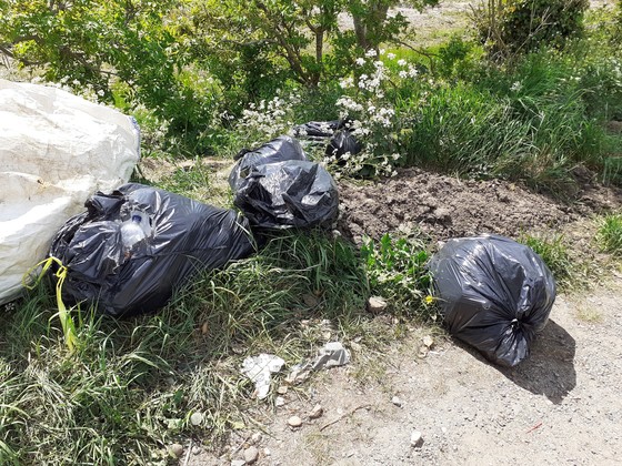 Did you know you can report litter, fly-tipping and more online?