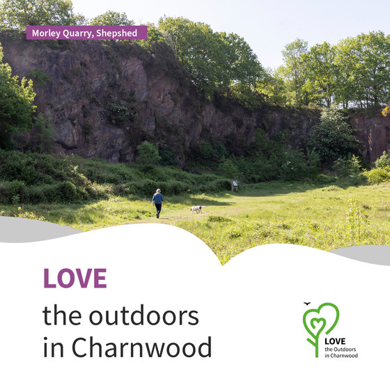 July Town and Parish Council Newsletter