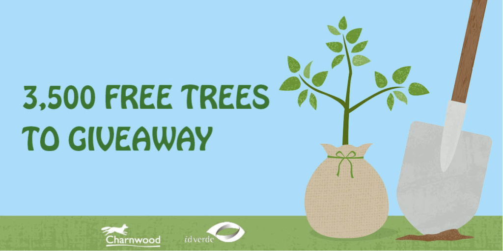 It’s a tree-mendous giveaway! 🌲