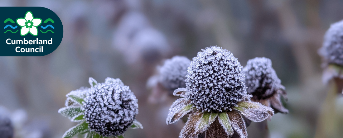 Letters to Heaven Post Box, more buses to more places in Cumberland ...