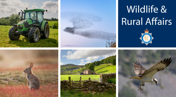 Cumbria Police Rural Crime Team - 2024 Roundup