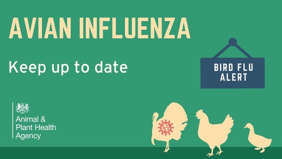 How Doncaster is celebrating the Coronation, bird flu update & more