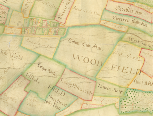 Discover the Danum this July| Danum Gallery, Library and Museum