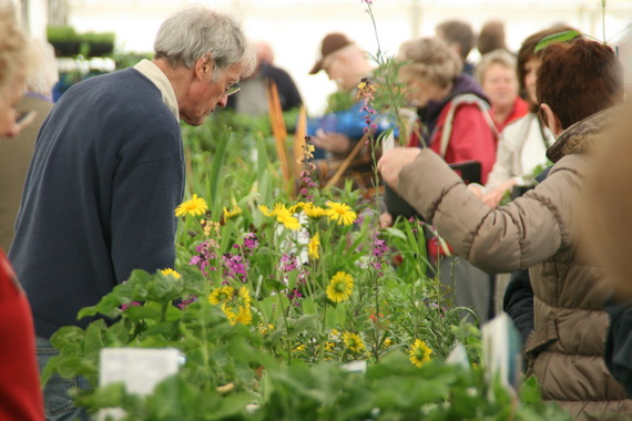 The Chalkboard - grand openings, boat trips, plant fair, foraging ...