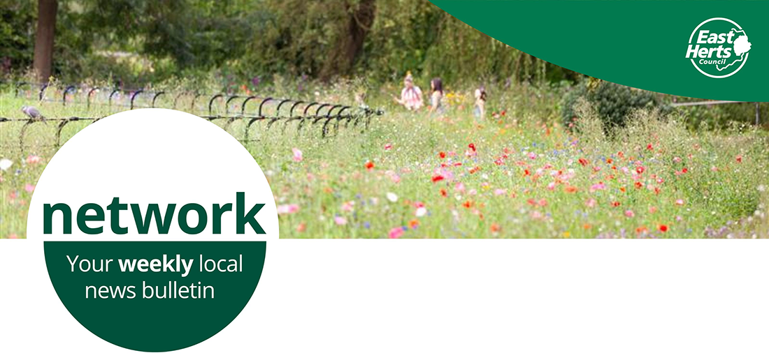 Your weekly Network news (Thursday, 18 September 2025)