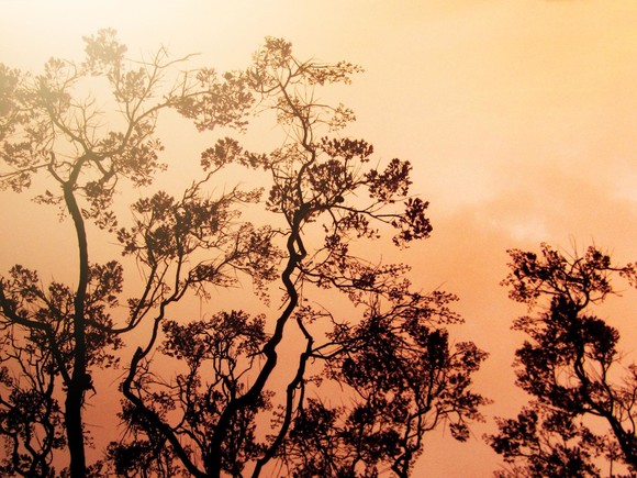 Wild East Devon September news