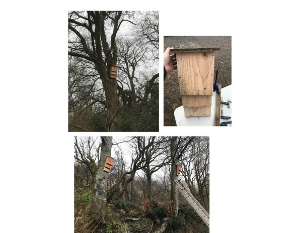 February's nature news from East Devon