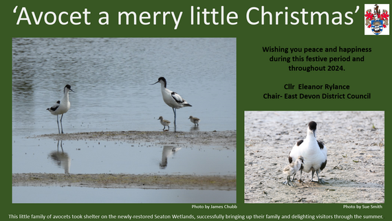 Christmas Residents' Update - Friday 22, December