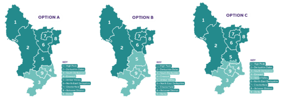 Local Government Reorganisation Public Consultation