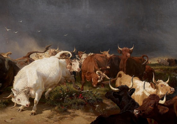 Museums Service Newsletter November 2023