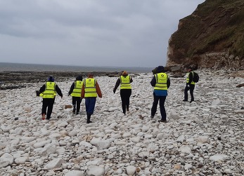 Recruitment, kelp, animations and more! YMNP Spring/Summer Newsletter