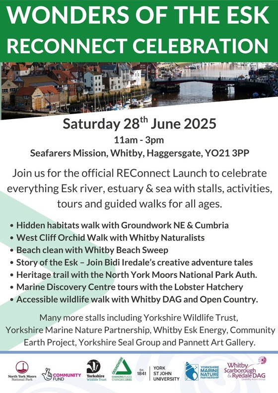 YMNP Spring / Summer Newsletter