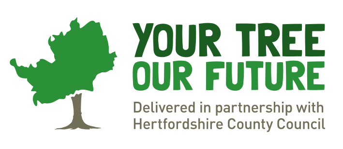 Your Tree Our Future: creating a more sustainable borough through tree ...