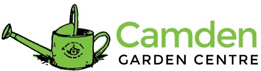 Kilburn Job Hub - June Newsletter