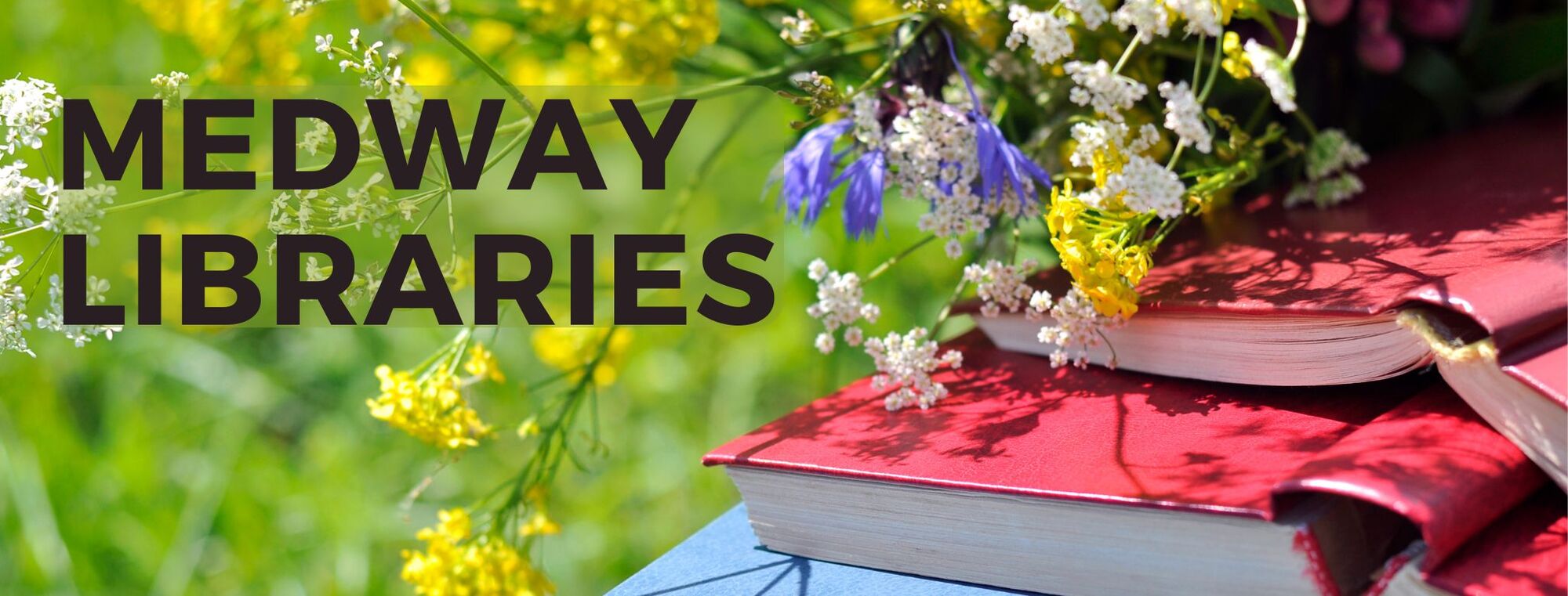 📚 Medway Libraries: August 2024