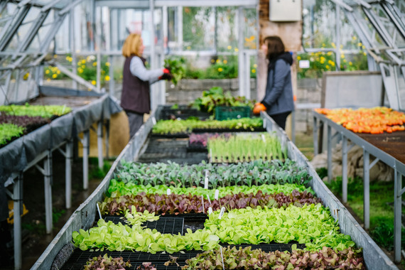 Impact Newsletter March 2025 from the Programme and Project Partners ...