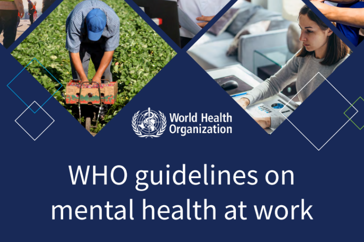 MINDFUL EMPLOYER: October Newsletter (2022)