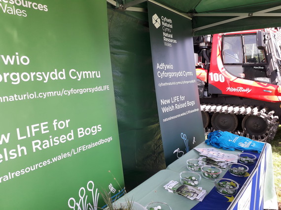 New LIFE for Welsh Raised Bogs Project Newsletter - Issue 2