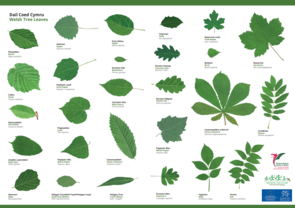 Education & Learning Newsletter, Issue 24 November 2022 – Learning in ...