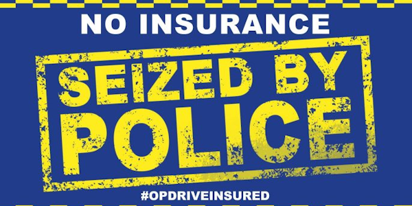 Dispatch - Tendring Edition - issue 11