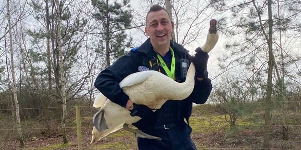 Dispatch - Colchester Edition - issue 50