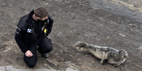 Dispatch - Tendring Edition - issue 32