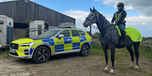 Dispatch - Tendring Edition - issue 42