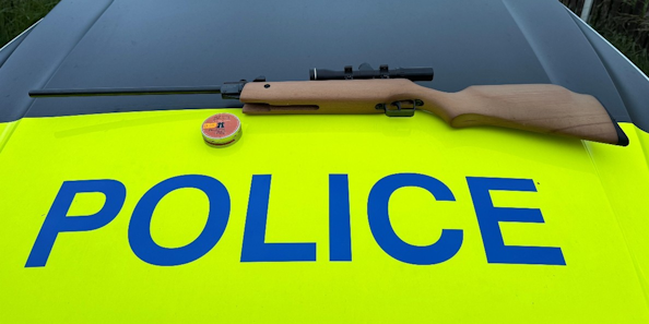 Dispatch - Tendring Edition - issue 43