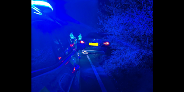 Dispatch - Braintree Edition - issue 66